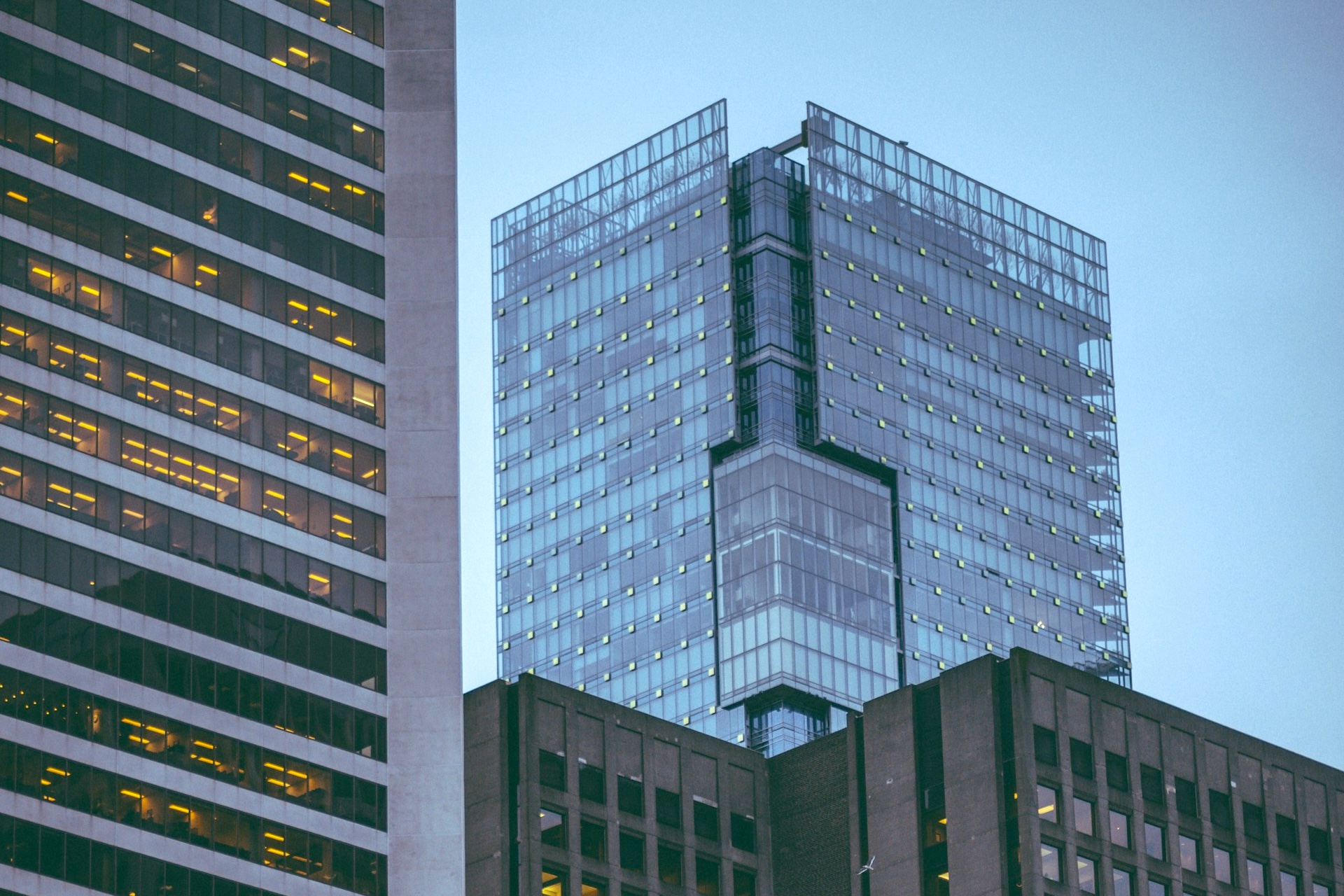Bank of Canada To Hold Rates, Economy Stronger Than Thought: RBC ...